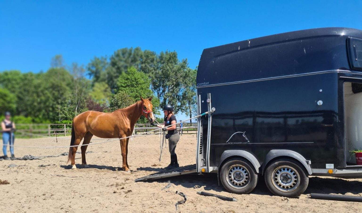 In 5 stappen je paard leren trailerladen – Team Up